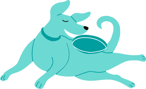 German Shorthaired Pointer Breed Profile: Things to Know Before ...